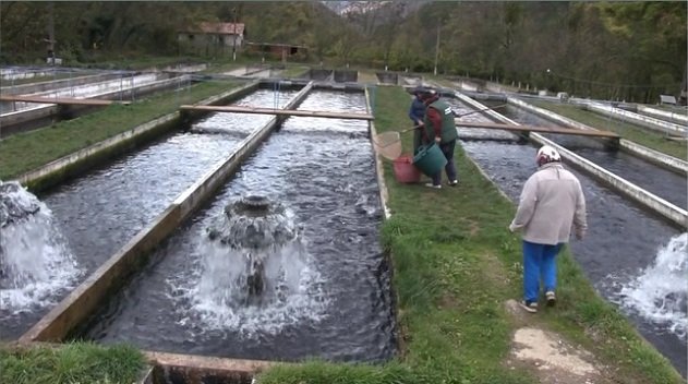 Vacanțe de vis la păstrăvării din România: unde să mergi pentru o ...